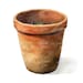 12 Watercolor Terracotta Pot With Plant, Potted Herb Illustration ...