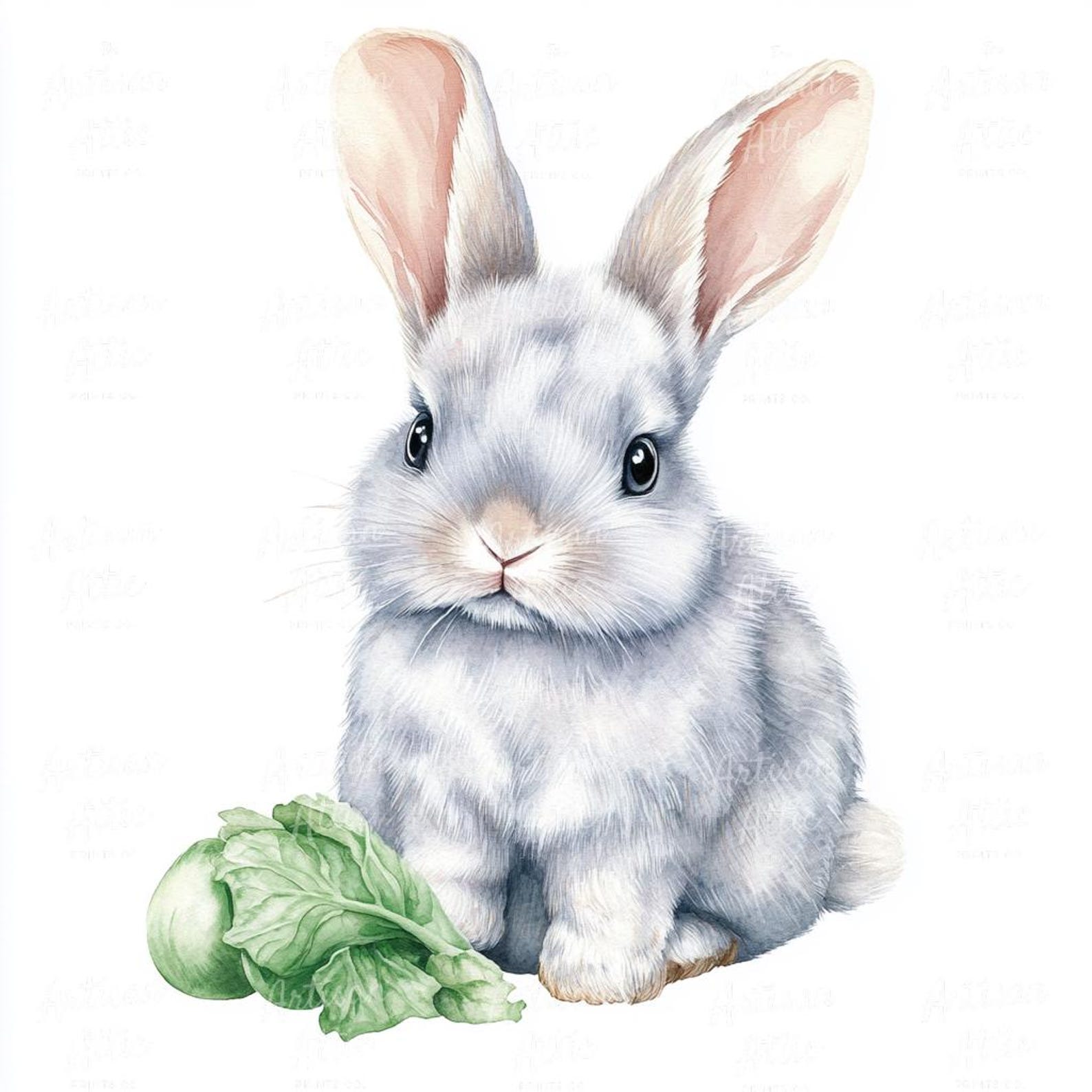 12 Fluffy Bunny Watercolor Clipart, Cute Rabbit With Lettuce, Digital ...