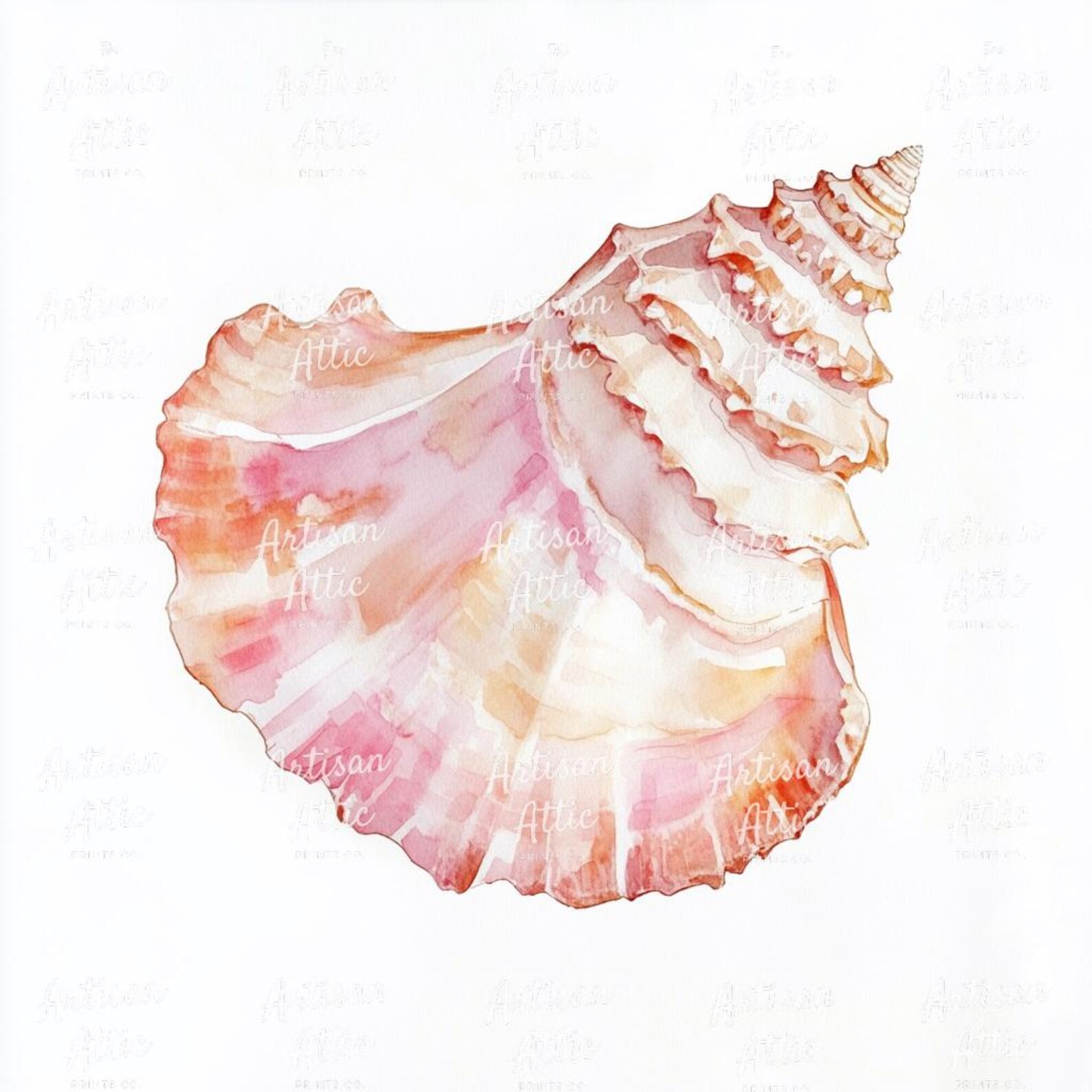 13 Watercolor Conch Shell Clipart | Soft Pink & Beige Sea Shell Png ...