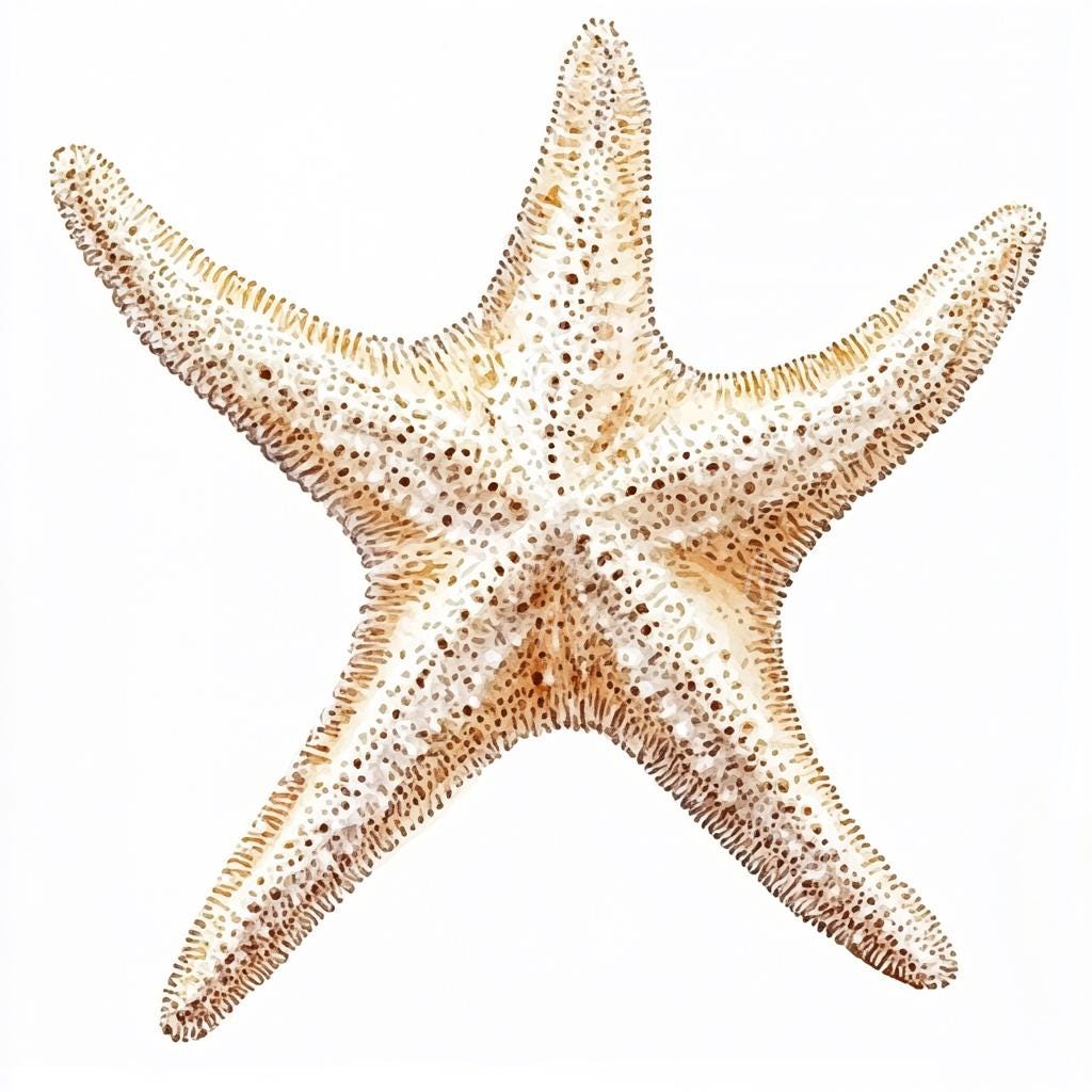 12 Watercolor Starfish Clipart, Hand-painted Sea Star, Ocean Clipart ...
