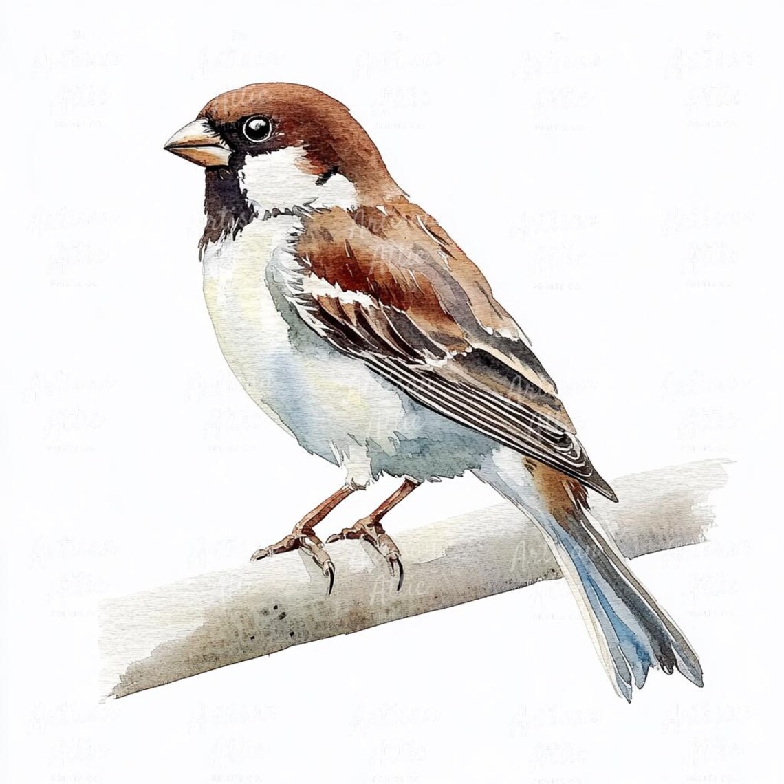 11 Sparrow Watercolor Clip Art Digital Download | Realistic Bird ...