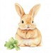 12 Fluffy Bunny Watercolor Clipart, Cute Rabbit With Lettuce, Digital ...