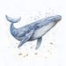 8 Watercolor Blue Whale Clip Art With Coral & Bubbles for Digital ...