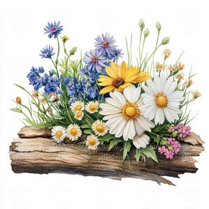 11 Watercolor Wildflowers Clip Art Digital Download | Rustic Floral ...