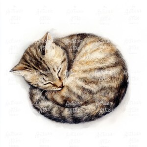 12 Sleeping Tabby Cat Watercolor Clipart for Digital Crafting ...