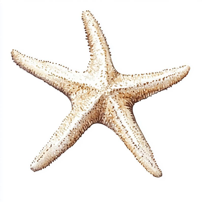 12 Watercolor Starfish Clipart, Hand-painted Sea Star, Ocean Clipart ...