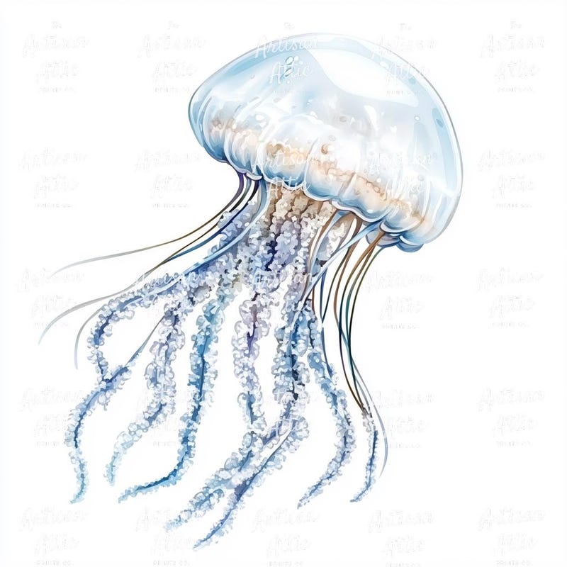 Jellyfish Art - Etsy
