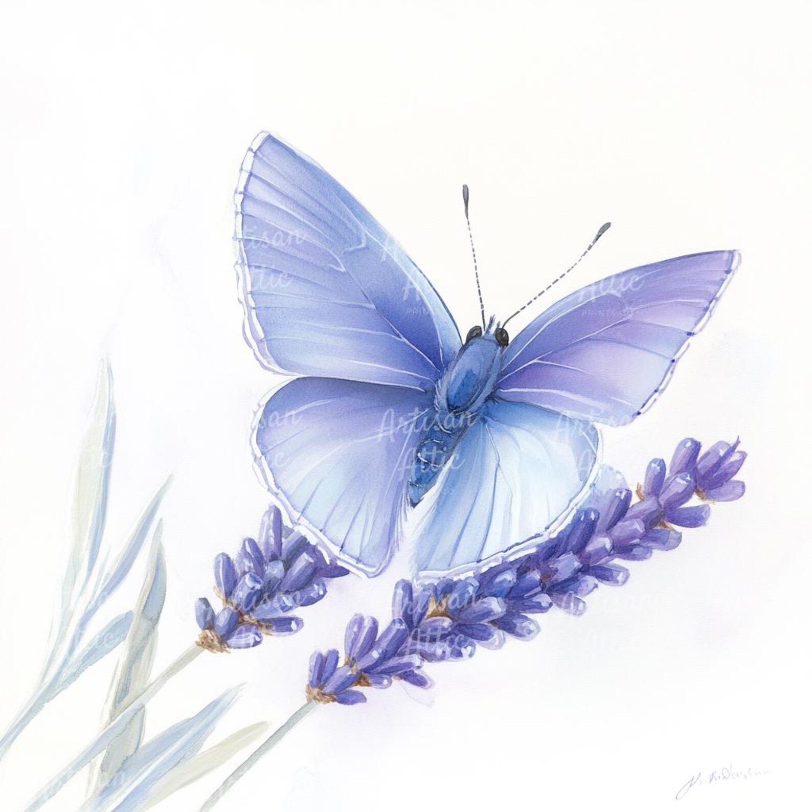 12 Lavender Butterfly Clipart | Watercolor Butterfly | Nature Art ...