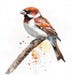 11 Sparrow Watercolor Clip Art Digital Download | Realistic Bird ...