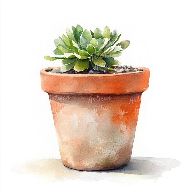 Watercolor Terracotta Pot Clipart, Rustic Gardening Art (12 Jpgs) - Etsy