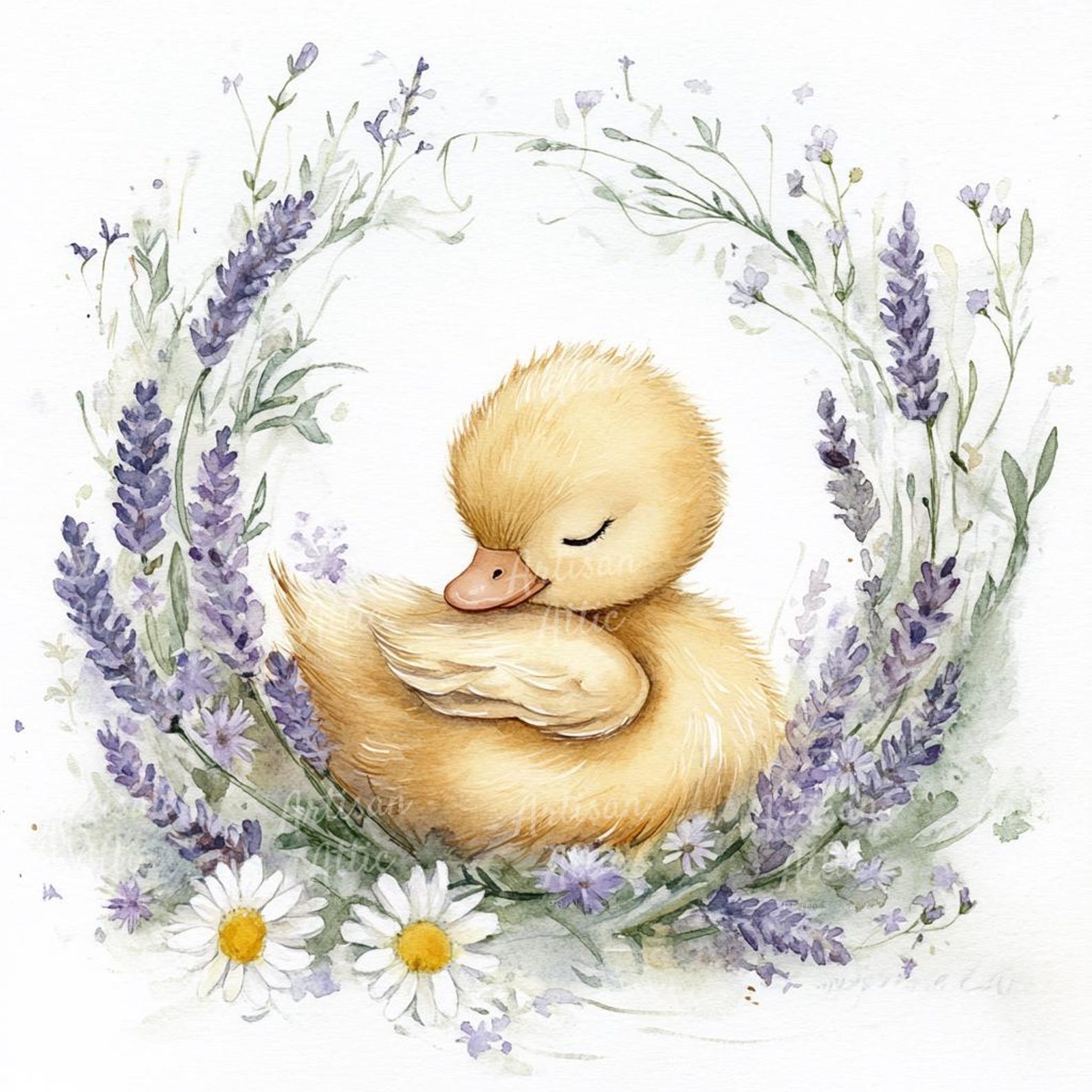 12 Watercolor Easter Duckling Clipart, Lavender and Daisy Wreath ...