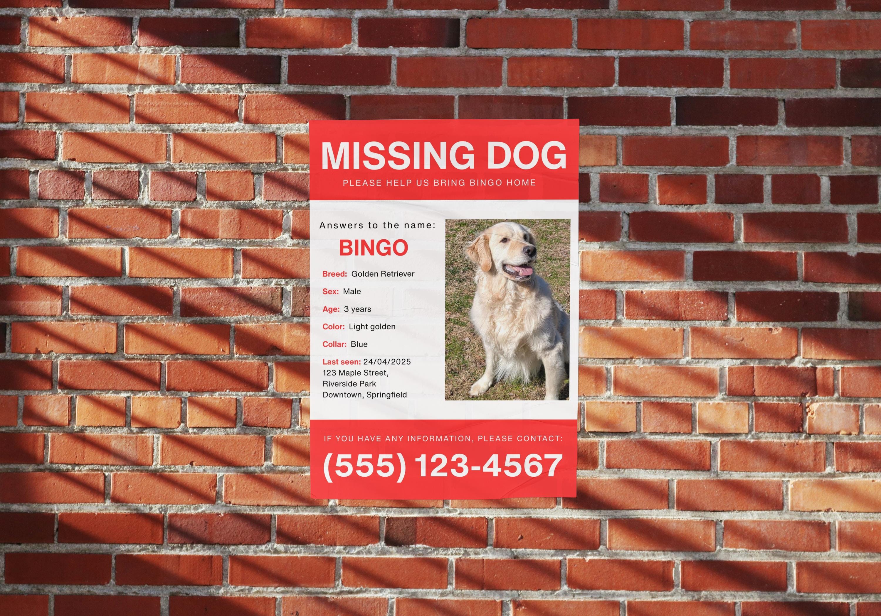 Missing Pet Poster Template: Canva Editable, Customizable, Instant ...