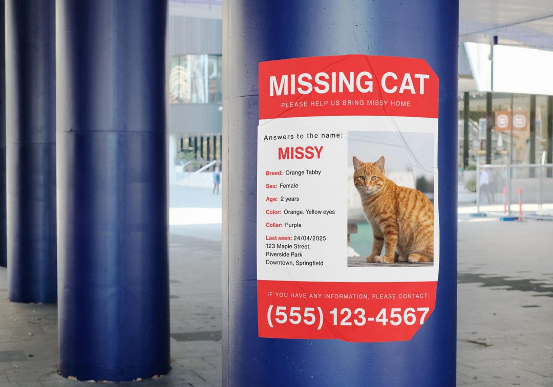 Missing Pet Poster Template: Customizable Lost Cat or Dog Flyer, Canva ...