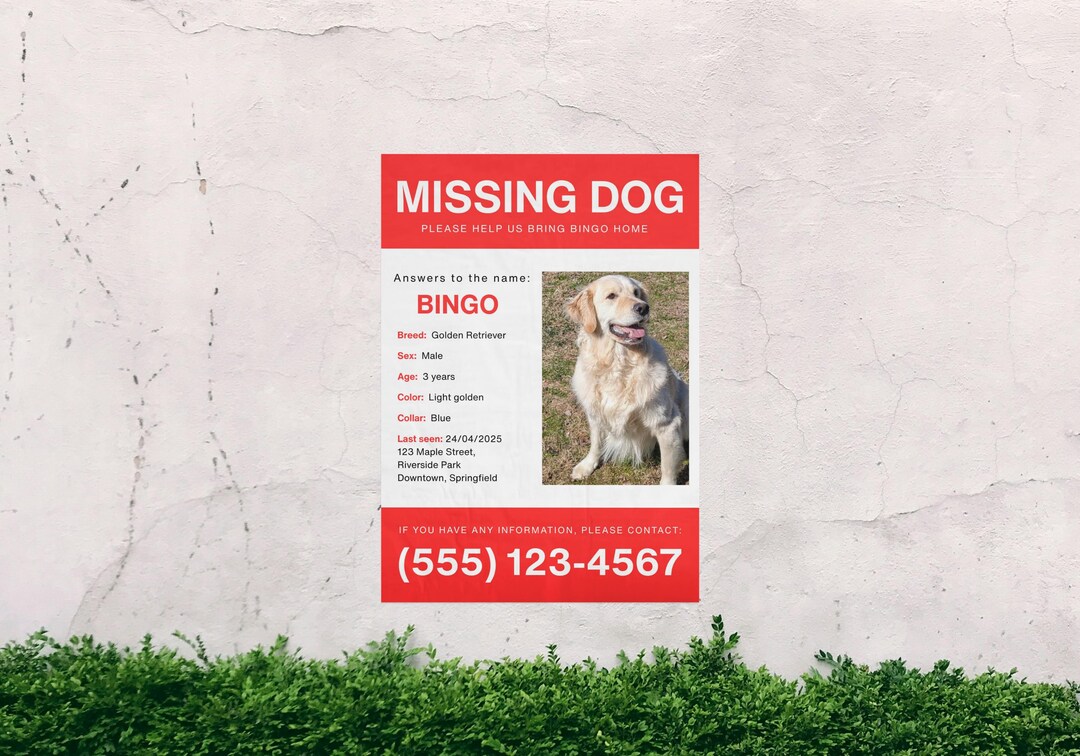 Missing Pet Poster Template Canva Editable Customizable Instant