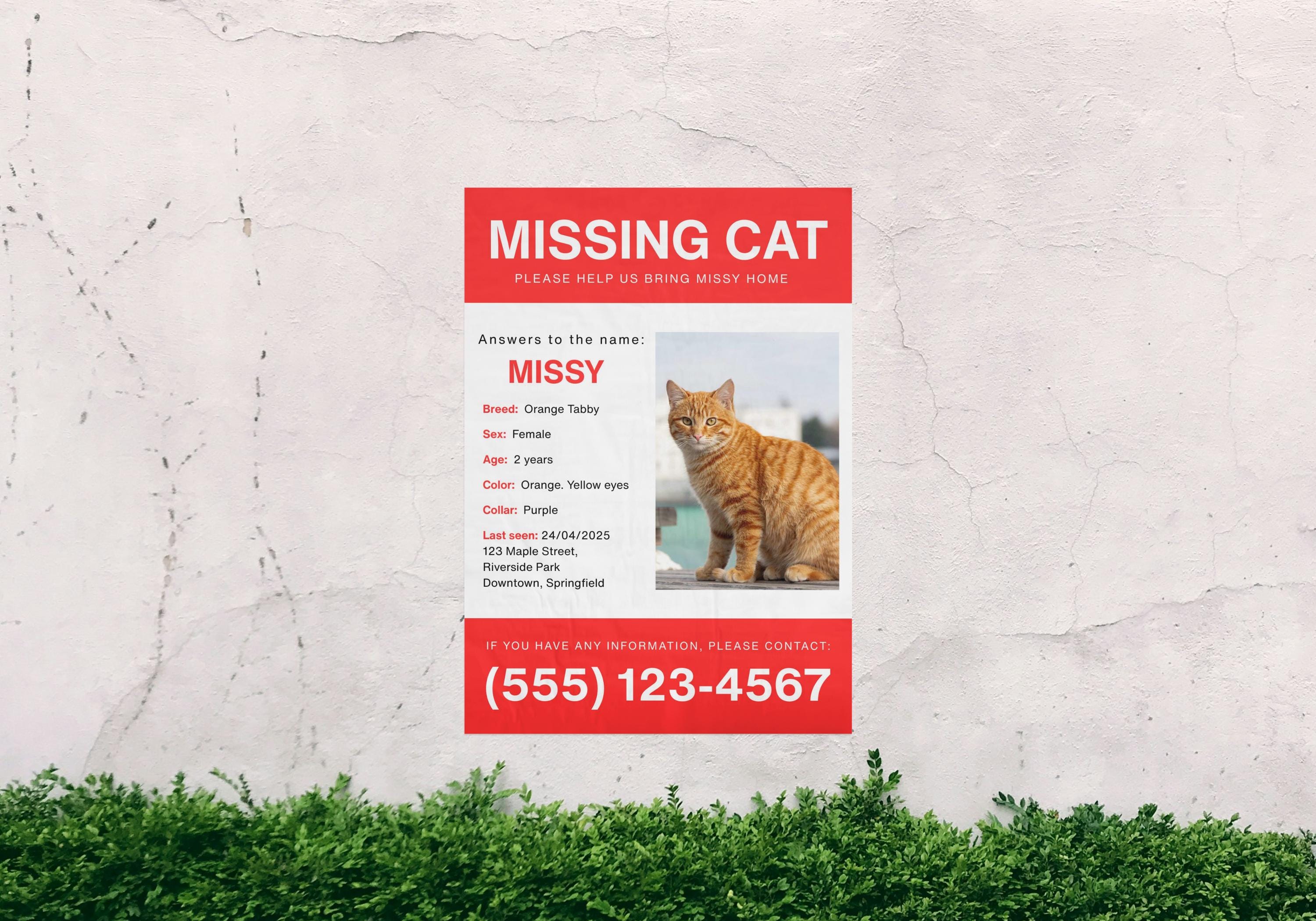Missing Lost Pet Poster Template • Cats, Dogs & More / Canva Editable ...