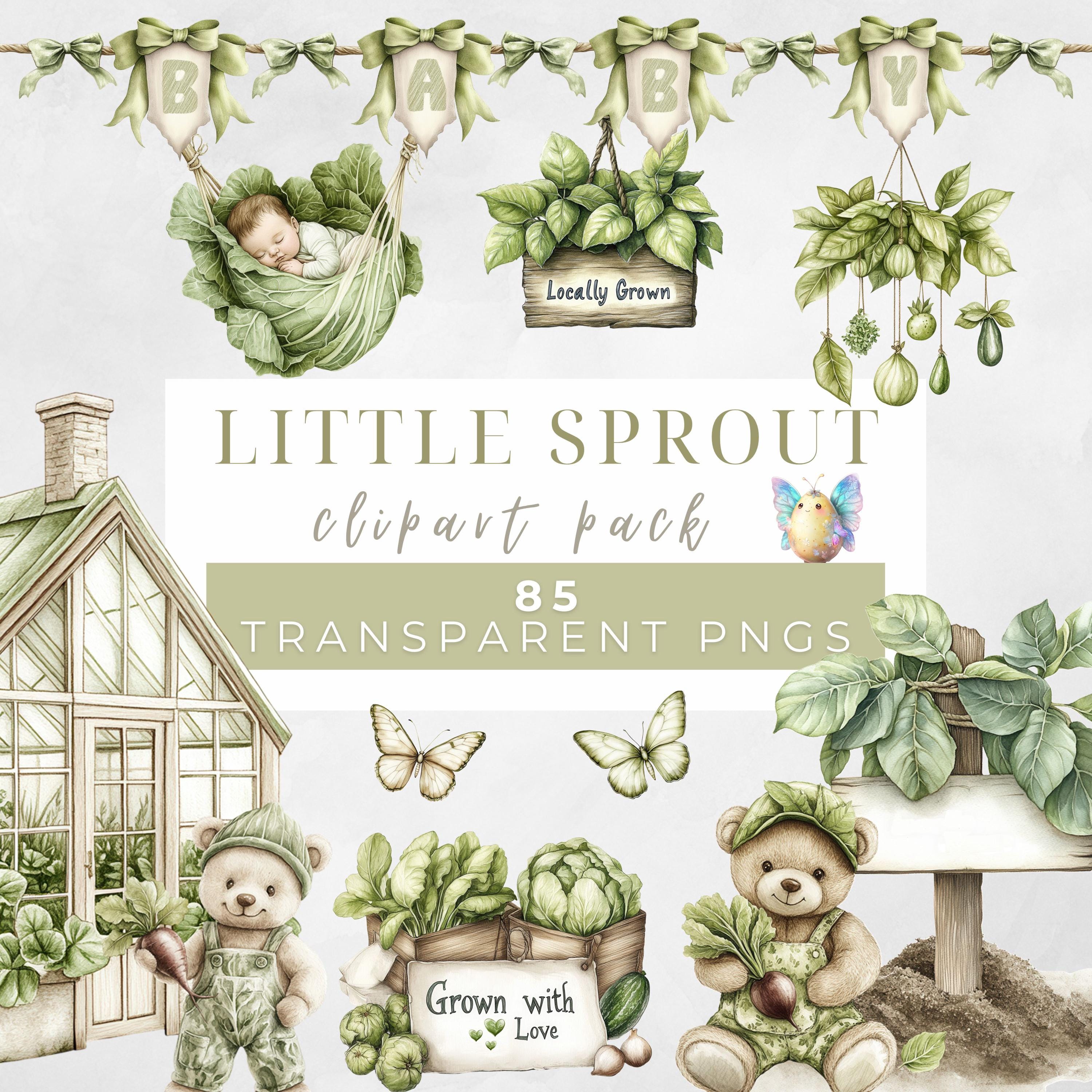 Little Sprout Clipart, Cute Garden, Baby Shower Clipart, Garden Baby ...