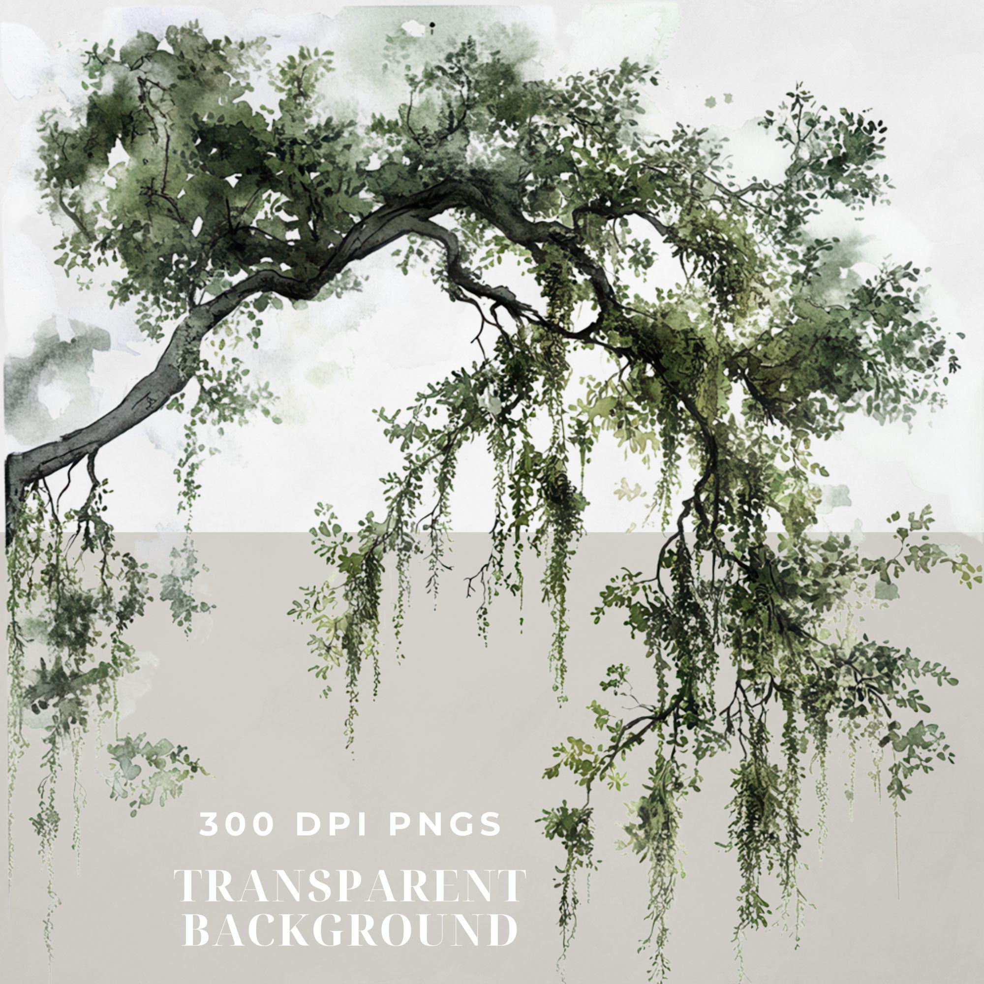 Spanish Moss Clipart | Elegant Hanging Moss PNG | Boho Wedding Clipart ...