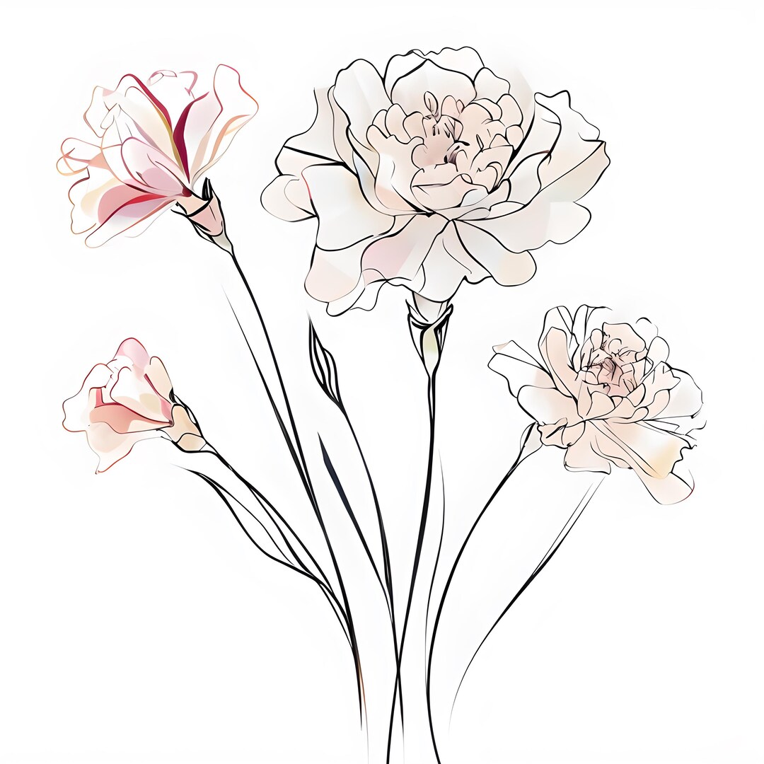 Carnation Birth Flower Bouquet - January - Digital Print - Etsy