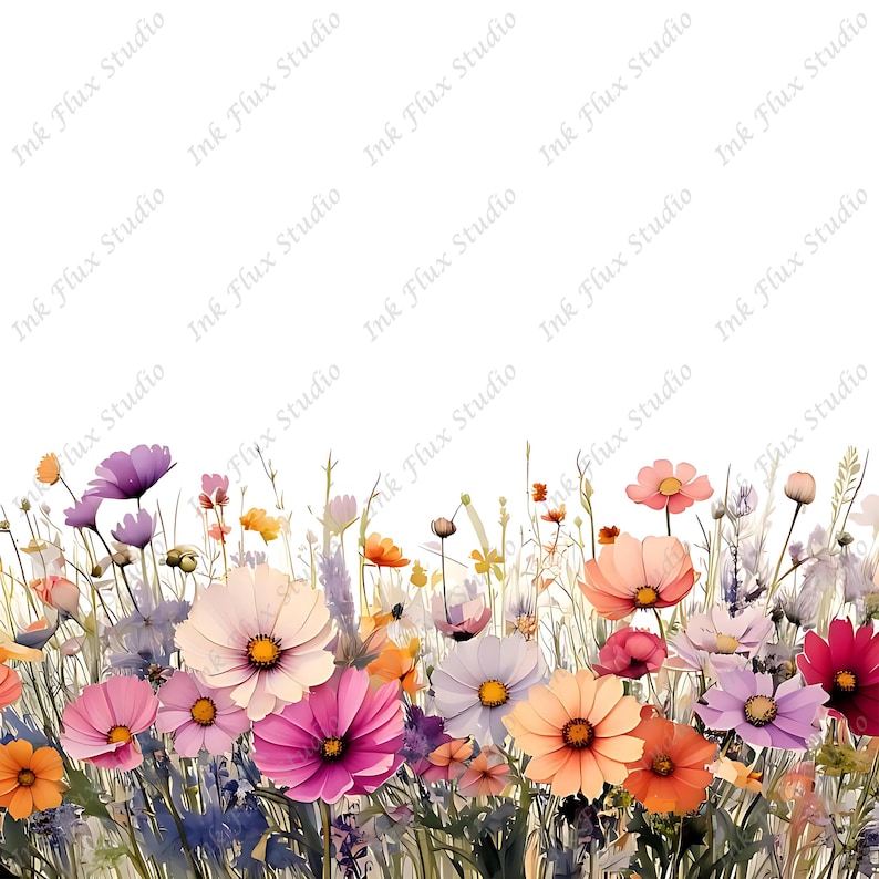 12 Transparent Watercolor Straight Floral Borders PNG | Wildflower ...