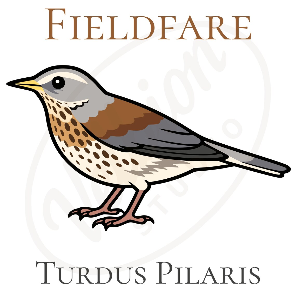 Fieldfare Thrush SVG PNG PDF | Turdus Pilaris Bird Clipart | European ...