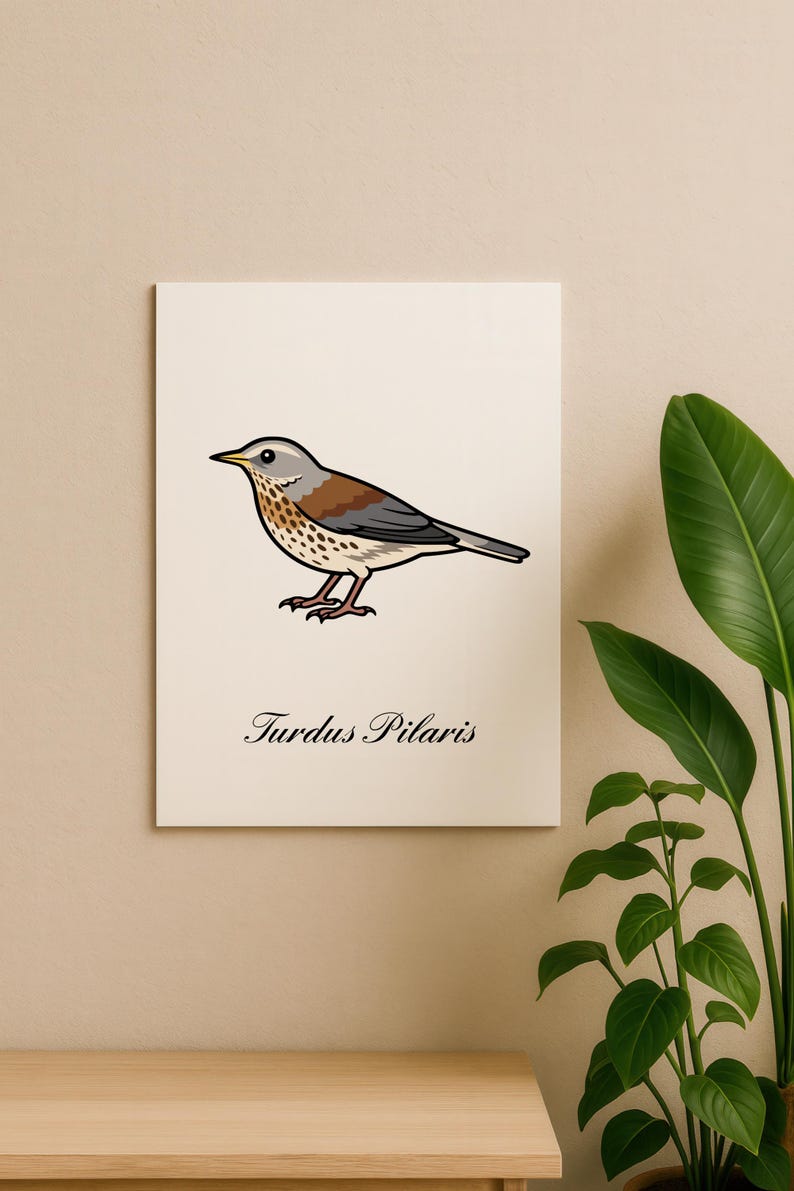 Fieldfare Thrush SVG PNG PDF | Turdus Pilaris Bird Clipart | European ...