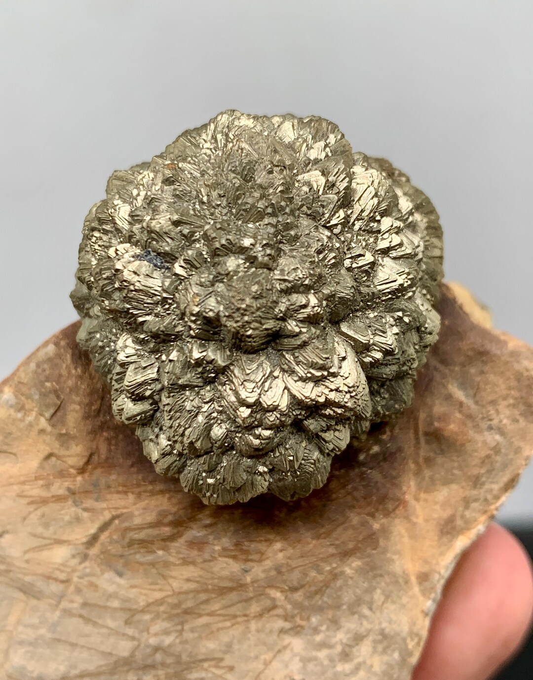 Golden Pyrite Flower Specimen: 189 Gram Crystal From Pakistan - Etsy