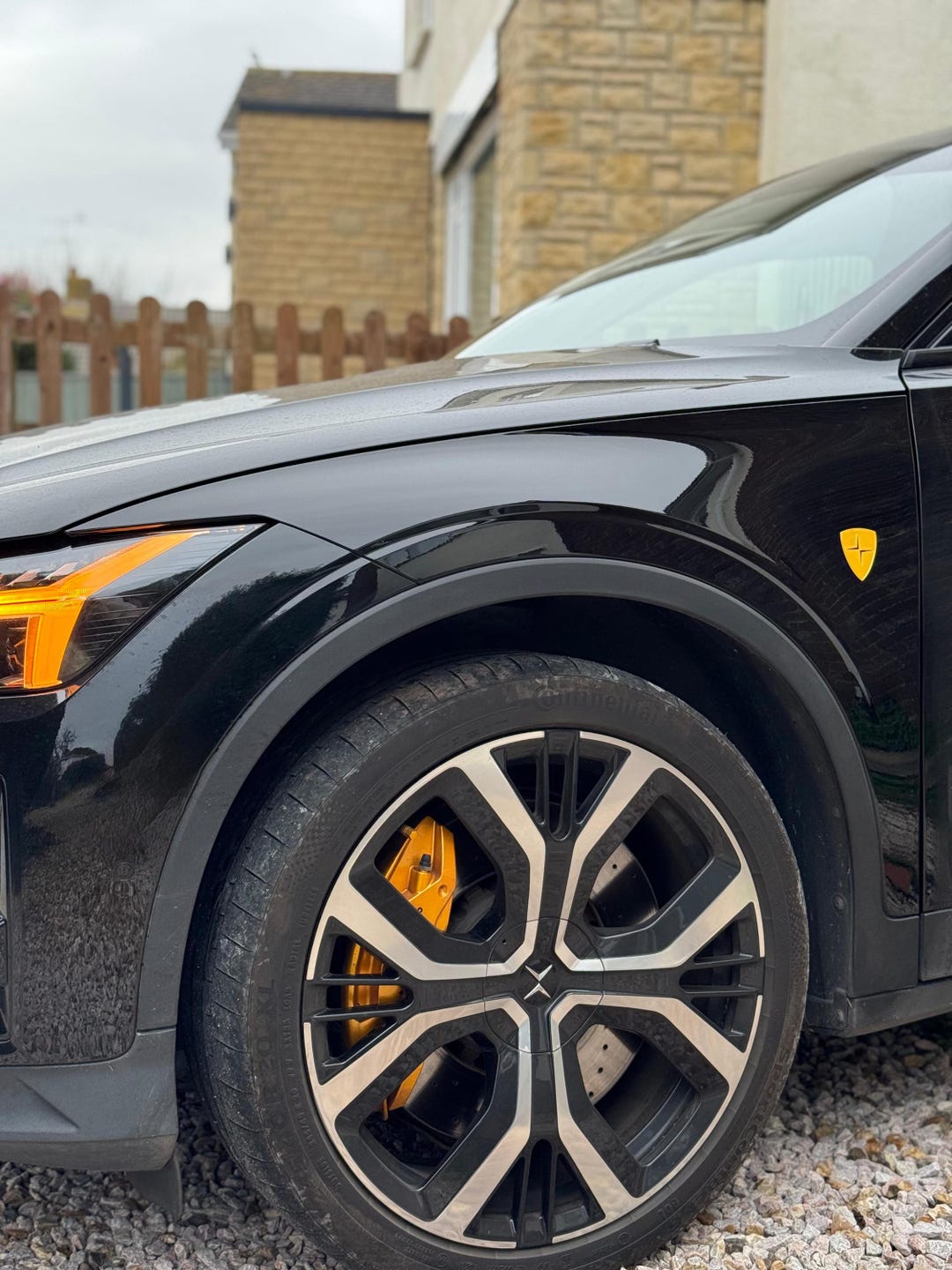 Gold Polestar Style Wing Decal , Prancing Moose, Volvo Style, 3d ...