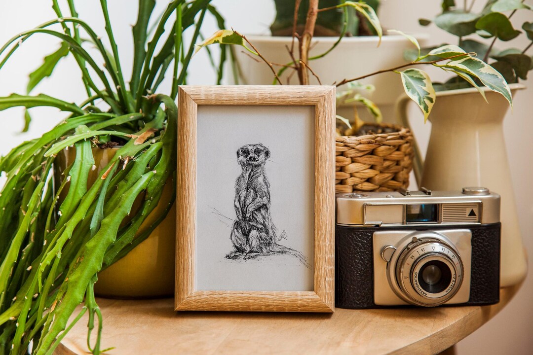 Meerkat Pen & Ink Drawing Art– African Wildlife Printable Animal Wall ...