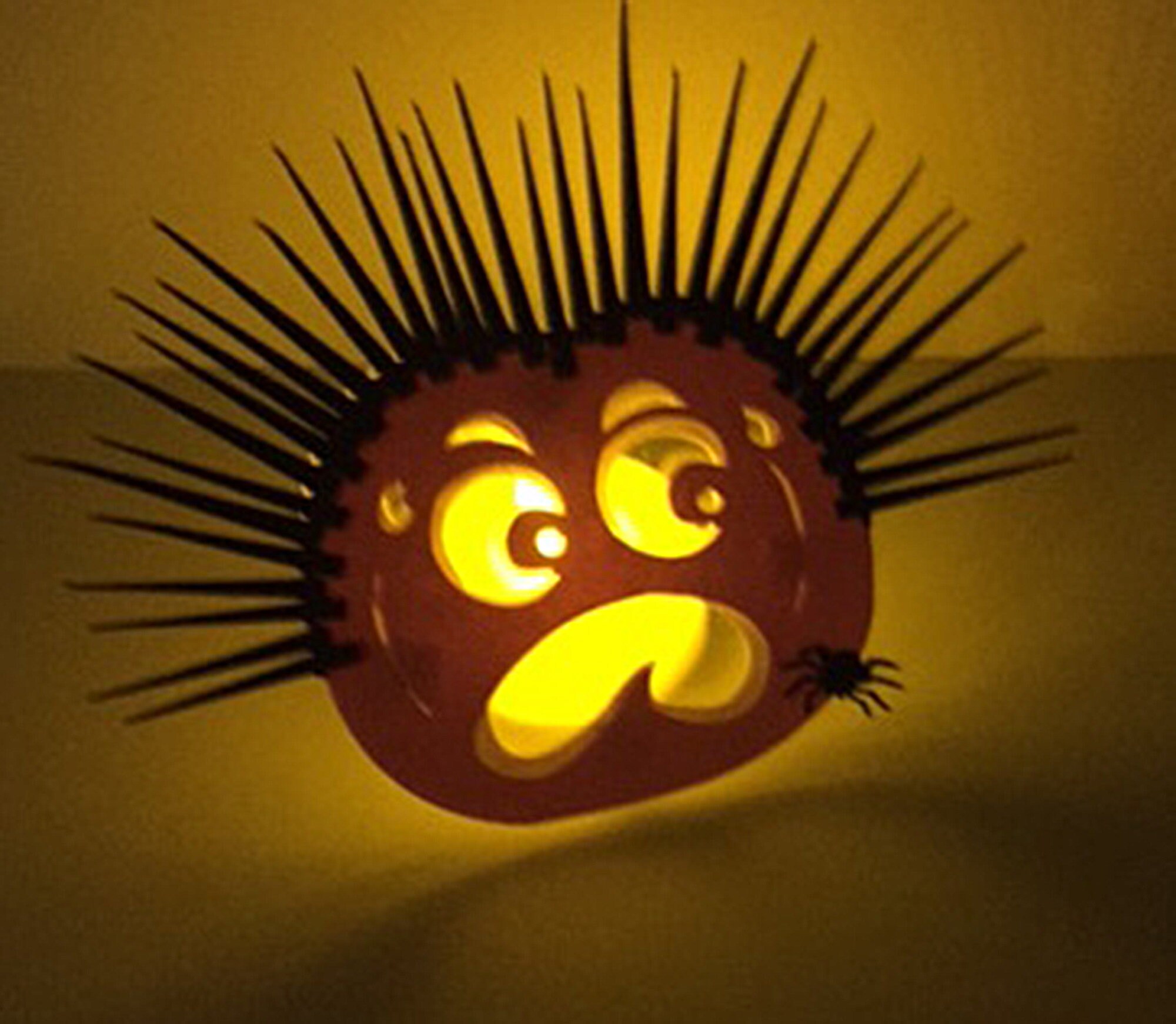 The famous Scaredy Cat Pumpkin SVG DIY Cricut Explore, Maker, Joy, Joyx ...