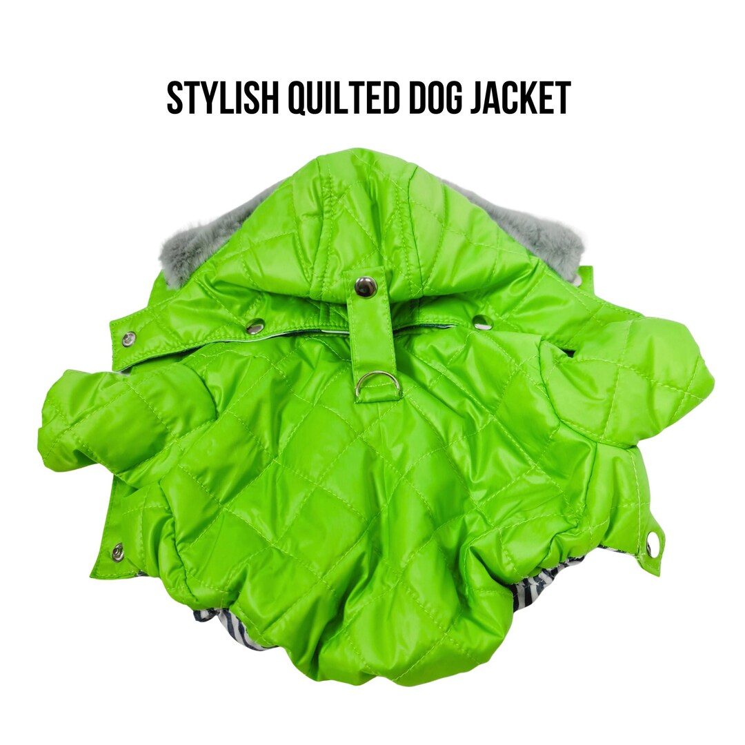 Waterproof Quilted Dog Coat: Bright Green Winter Jacket With Faux Fur ...