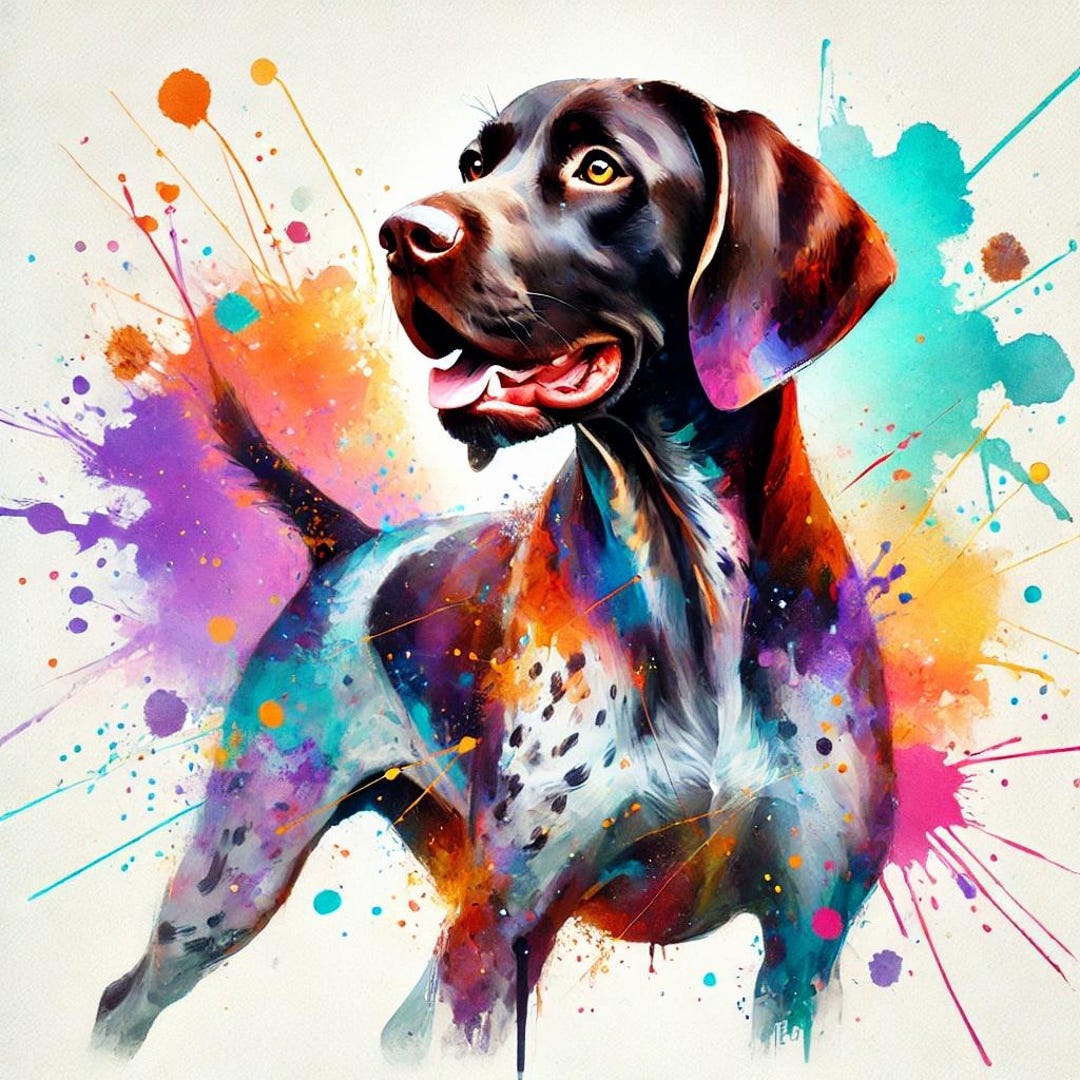 GSP Digital Art, Watercolour, Liver and White Pointer, German ...