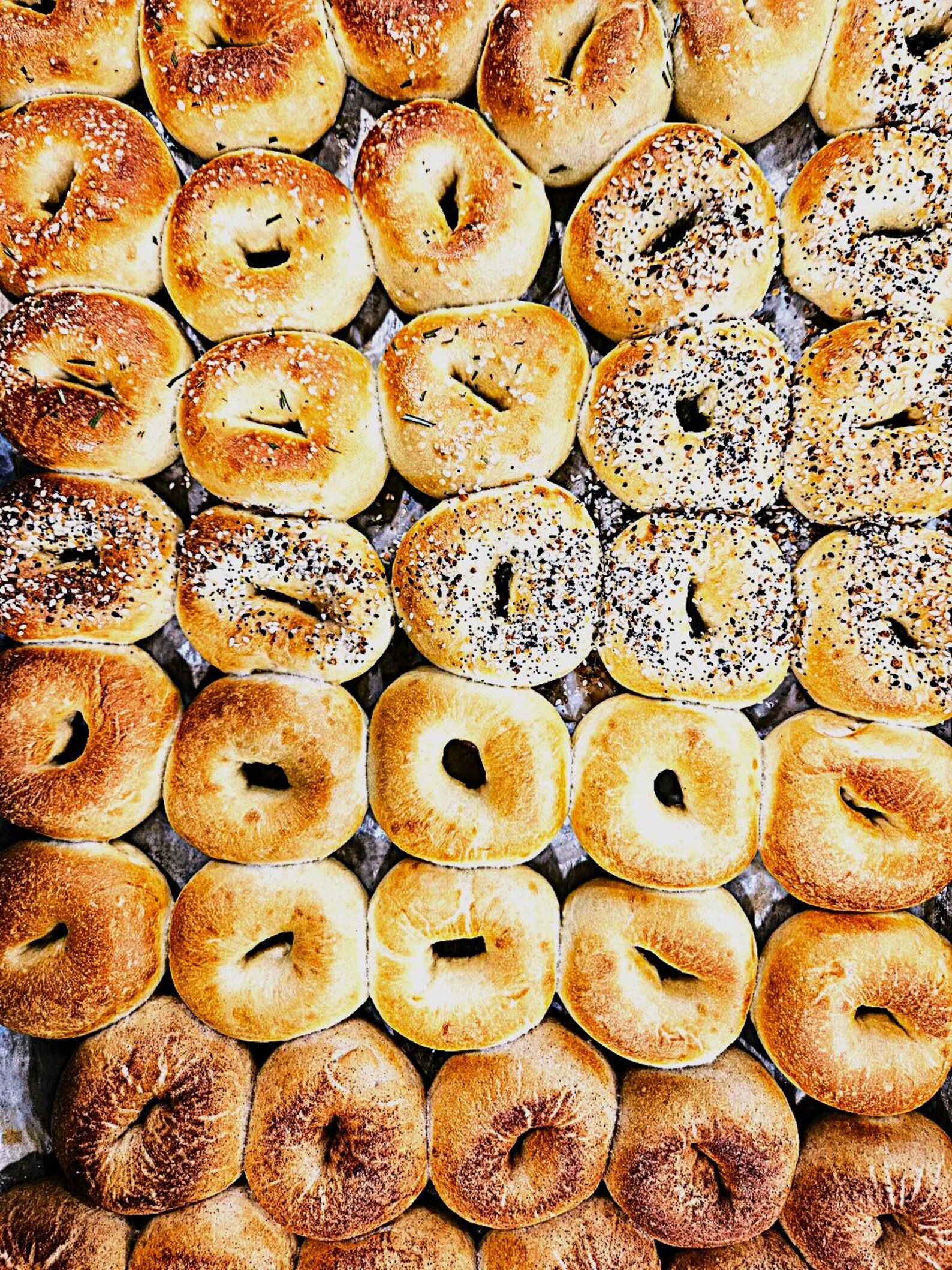 Homestead NY Style Bagels. Oversized, Baked Fresh Every Day. - Etsy