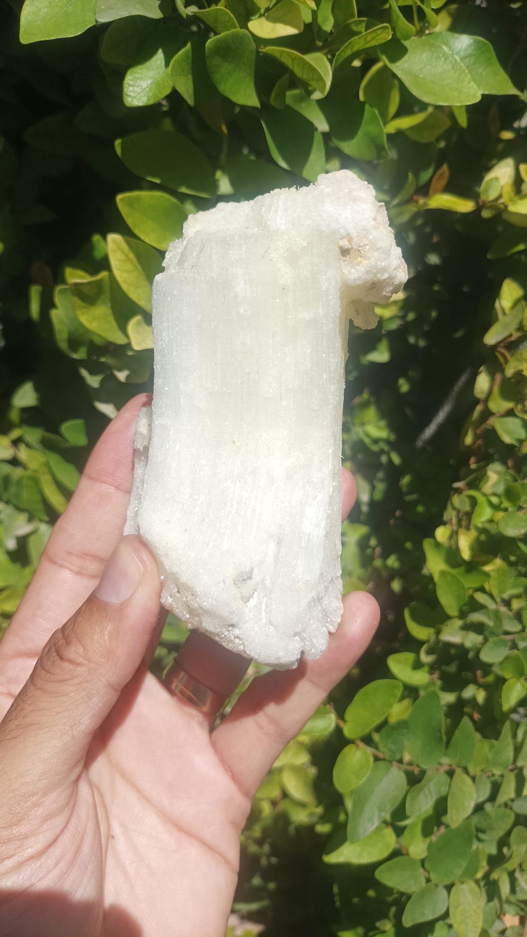 Fluorescent Selenite "horn" With Novacekite Inclusions | UV Reactive ...