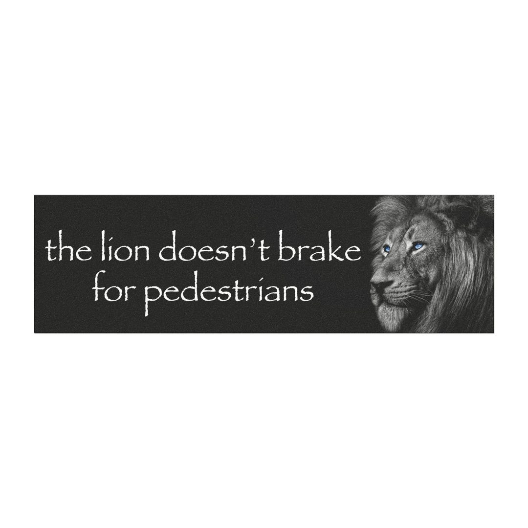 Funny Lion Meme Car Magnet: Cringe Humor Bumper Sticker - Etsy