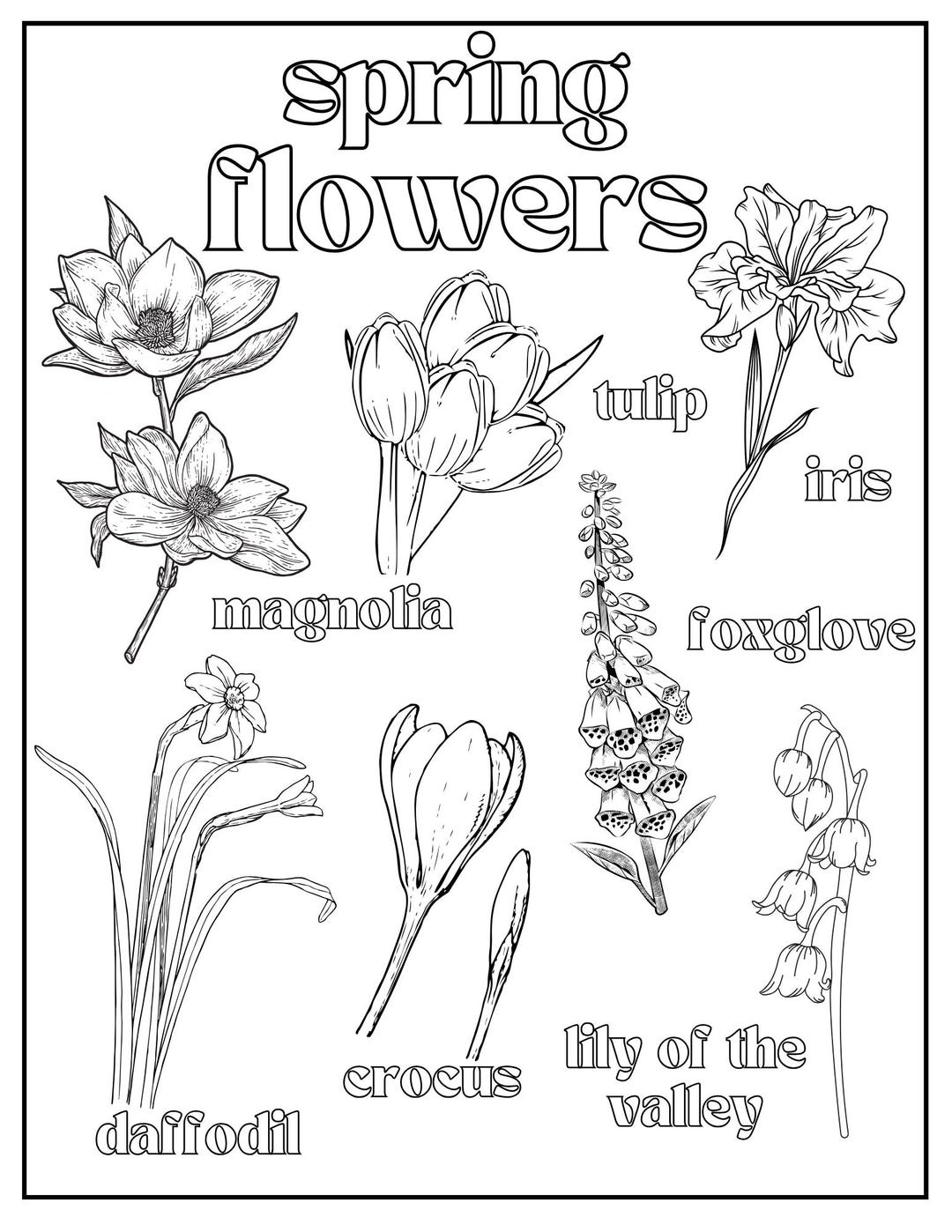 Spring Flower Adult Color Page Digital Download - Etsy
