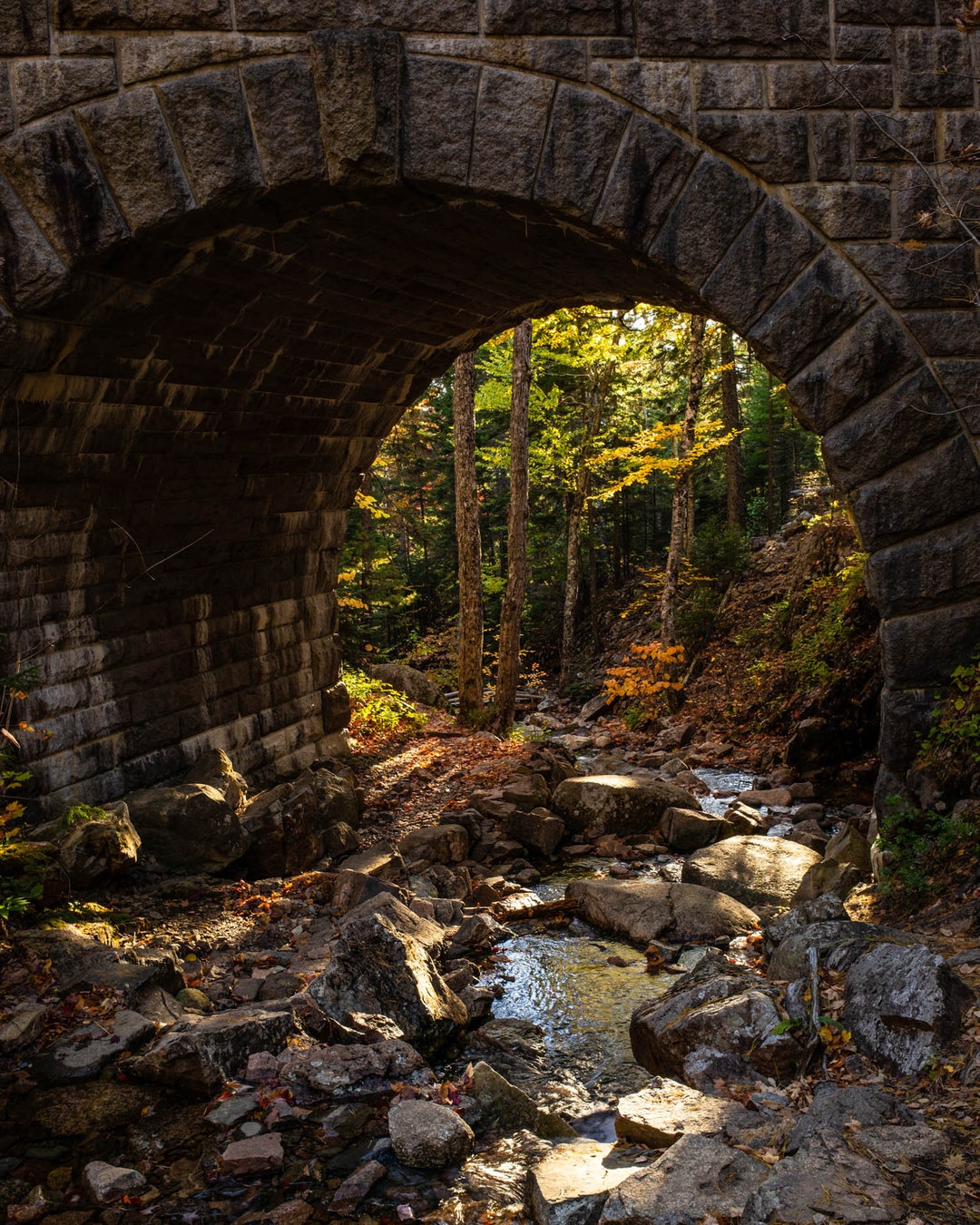 Waterfall Bridge Acadia National Park, Carriage Road, Maine Art, Maine ...