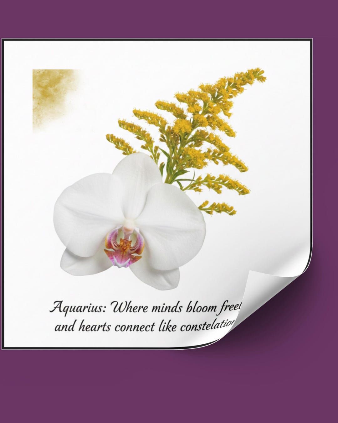 Aquarius Birth Flower Print — Orchid & Goldenrod Constellation Wall Art ...