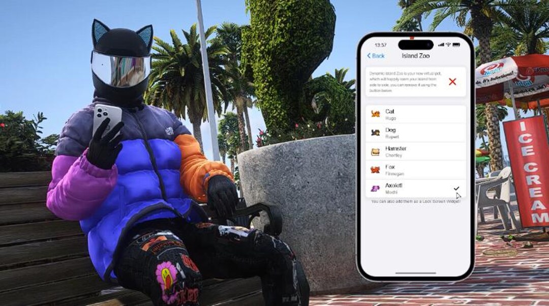 Script QUASAR SMARTPHONE BASIC Fivem - Etsy