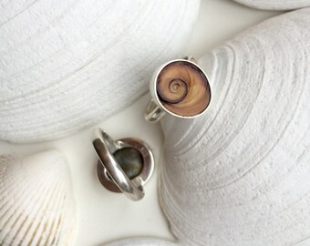 Cats Eye Seashell - Etsy