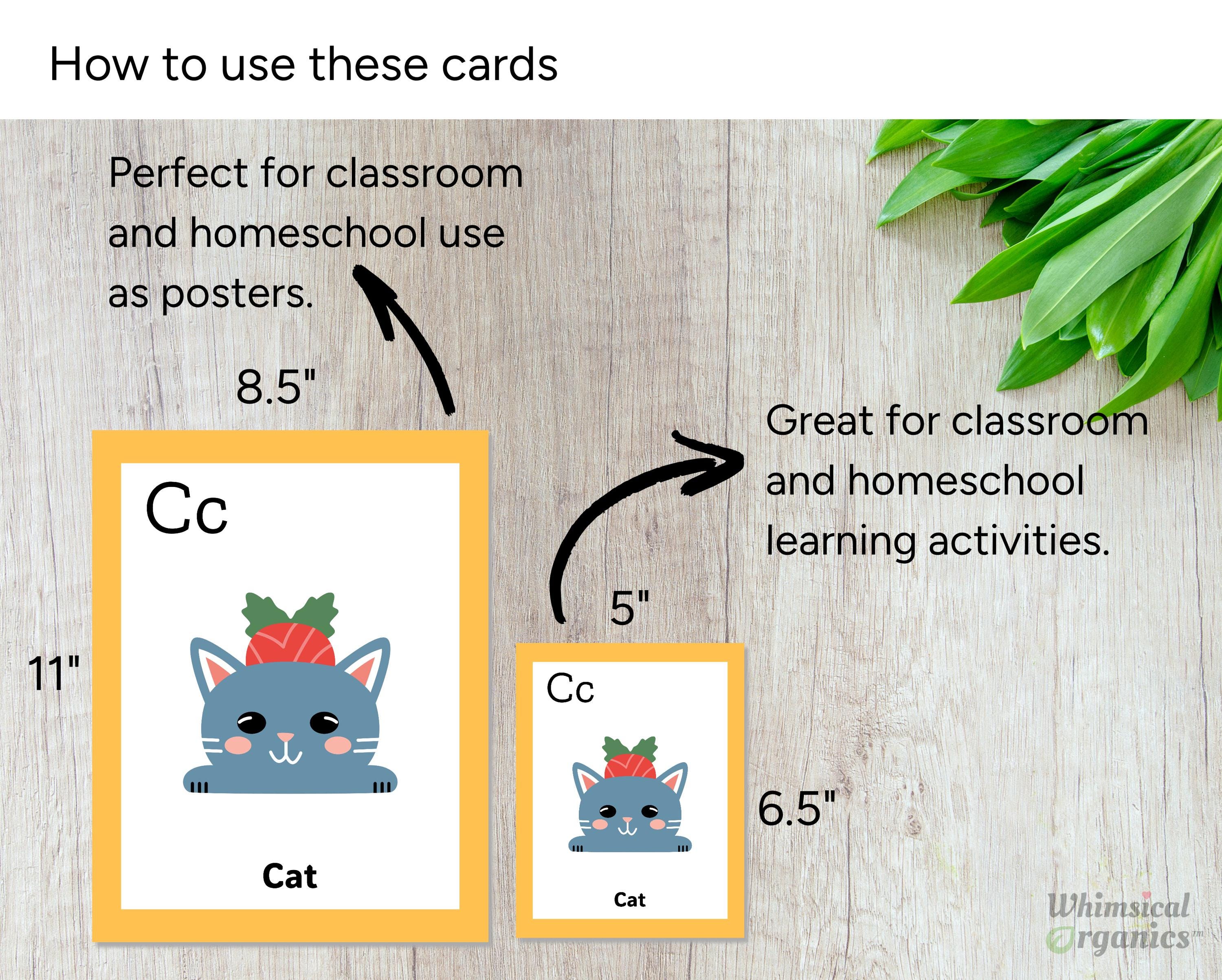Alphabet Flashcard, Educational Printable Wall Art for Kids, Nursery ...