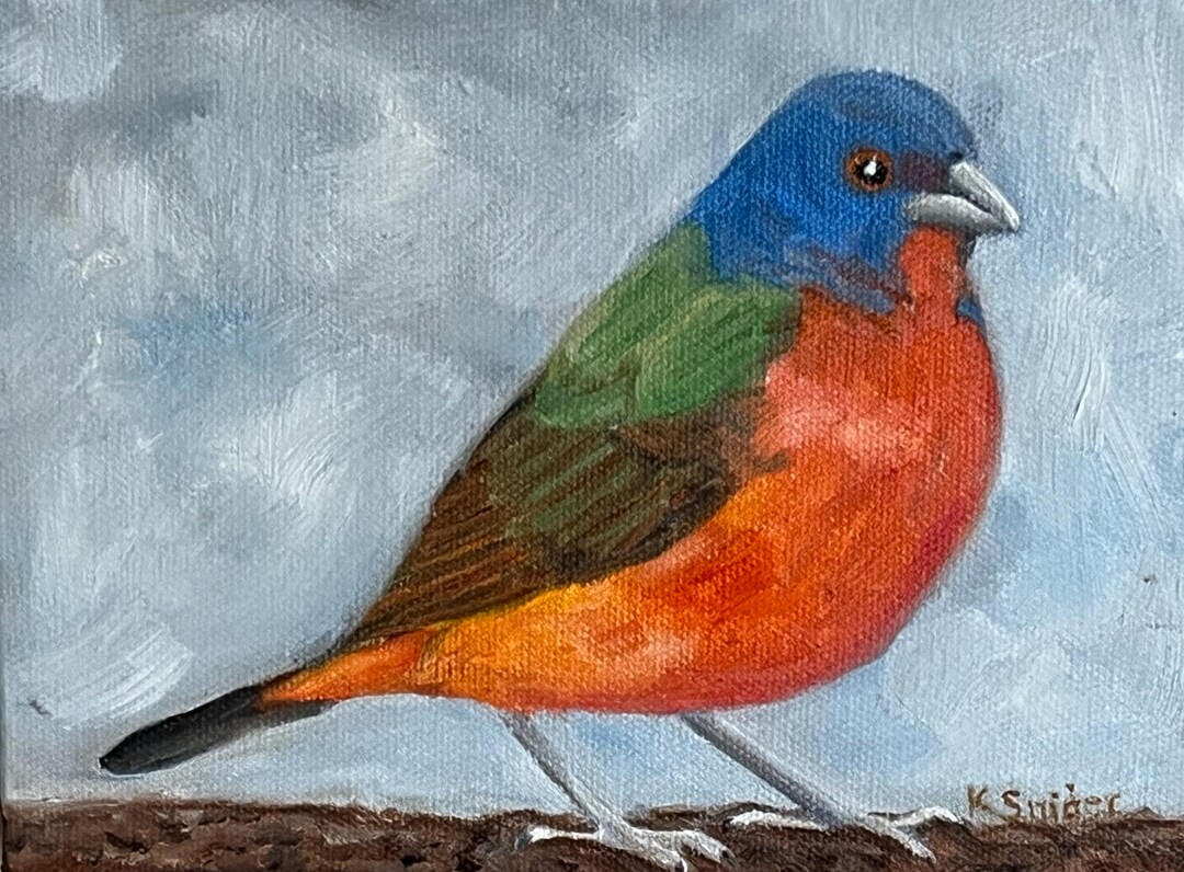 Painted Bunting Painting Colorful Bird Oil Painting on 6X8 Stretched ...