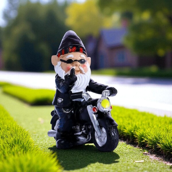 Rude Garden Gnome - Etsy