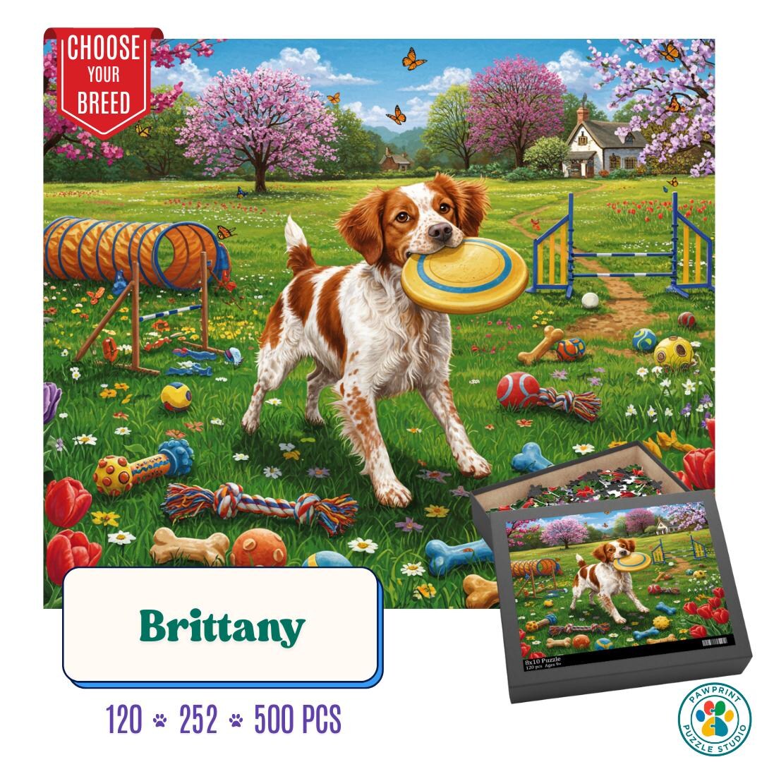 Brittany Puzzle | Playful Dog With Frisbee in Agility Field | Spring ...