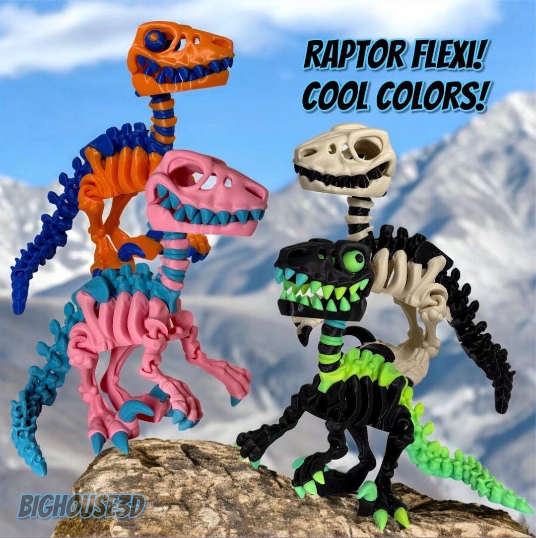 3D Skeleton Raptor - Ready to Go Color Options! - Etsy
