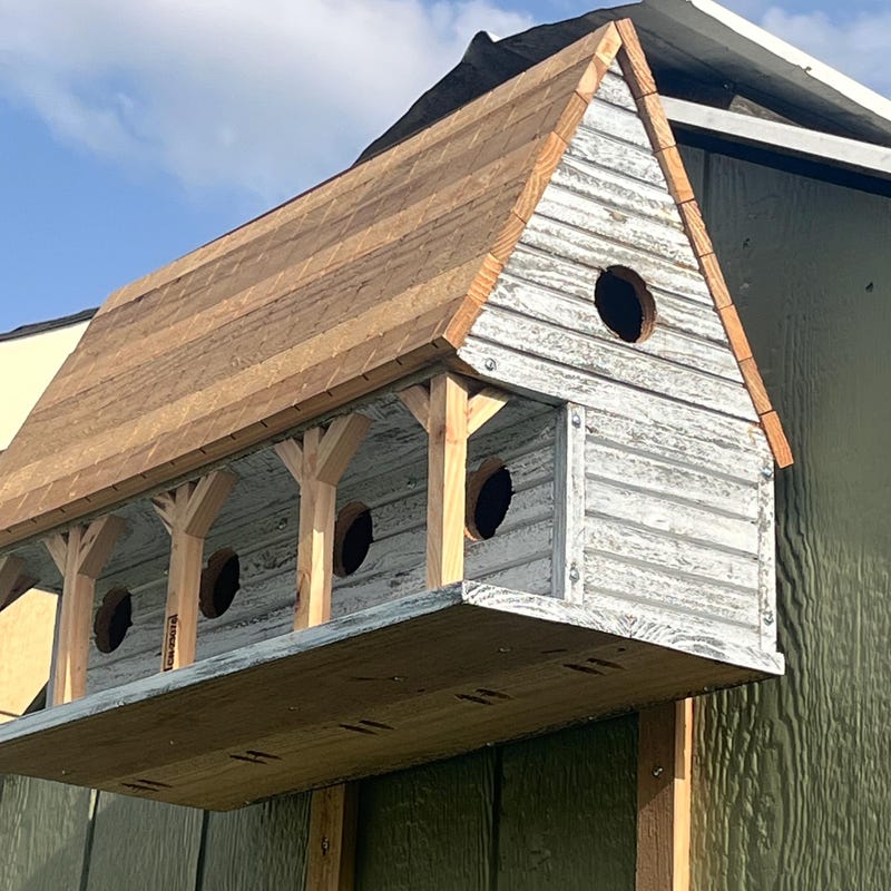 Robin Bird House - Etsy