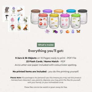 Colour Sorting Jars Early Learning Bundle, Insects Nature Printable ...