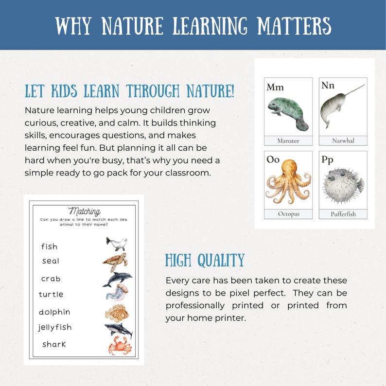 Ocean Animals Early Learning Bundle, Printable Worksheets Flashcards ...