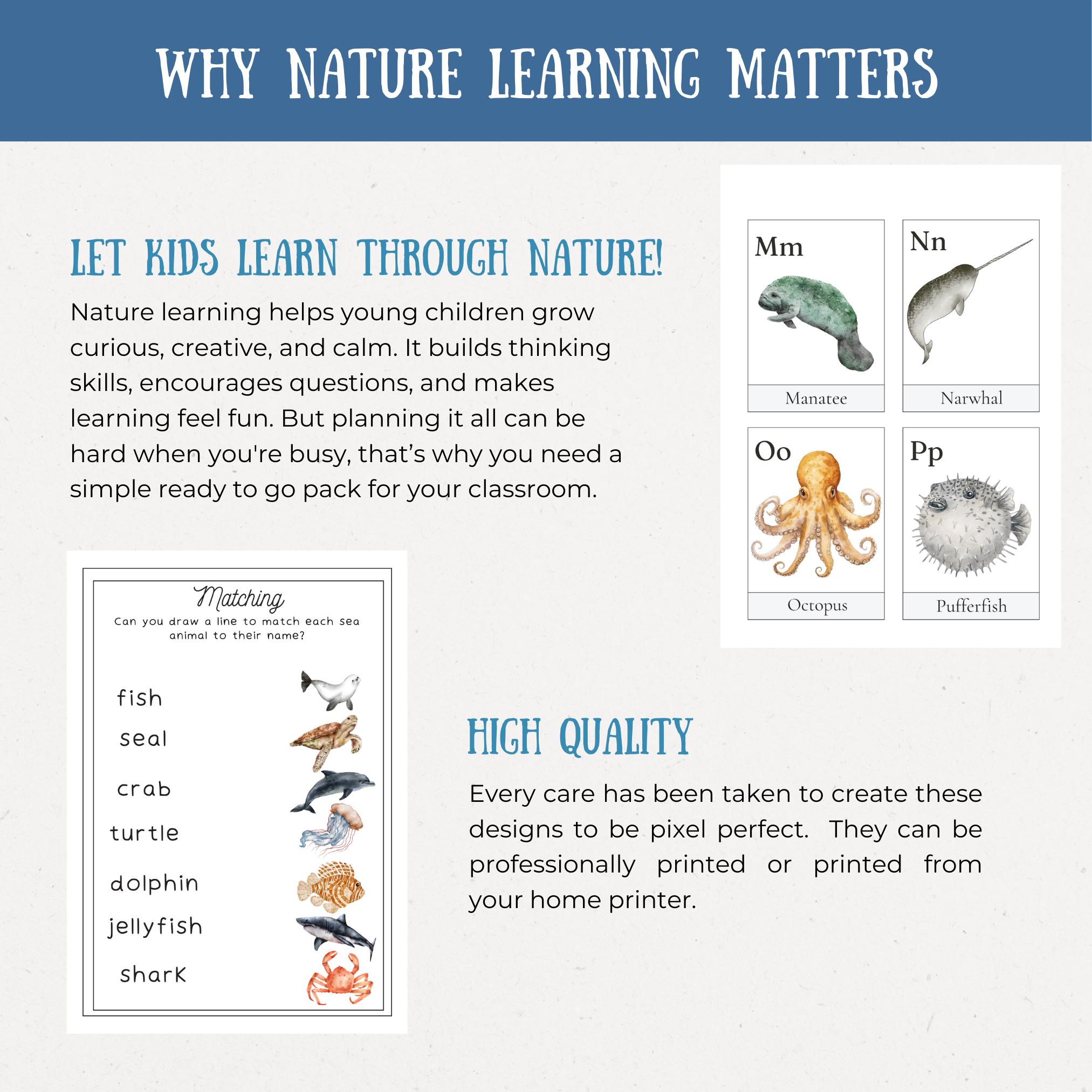 Ocean Animals Early Learning Bundle, Printable Worksheets Flashcards ...