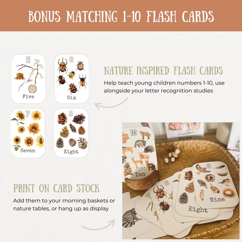 Nature Theme Lesson Plan Printable, Homeschool Teacher Planner, Weekly ...