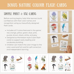Colour Sorting Jars Early Learning Bundle, Insects Nature Printable ...